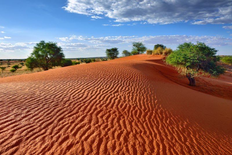 21 Best Deserts in the World - Arzo Travels