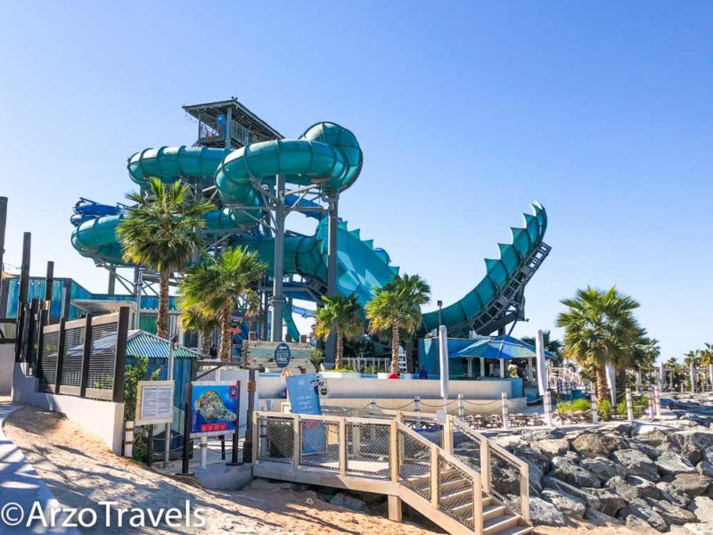 Best Things to do at La Mer, Dubai - Arzo Travels