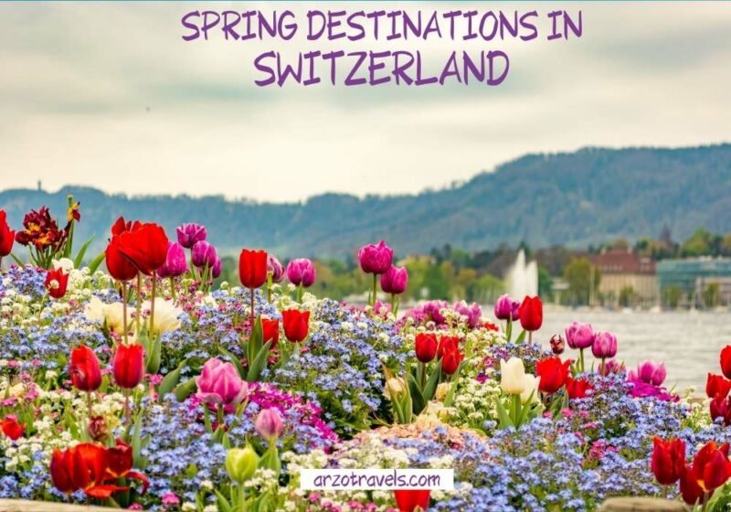BEST PLACES TO VISIT IN SWITZERLAND IN SPRING – 2024 - Arzo Travels