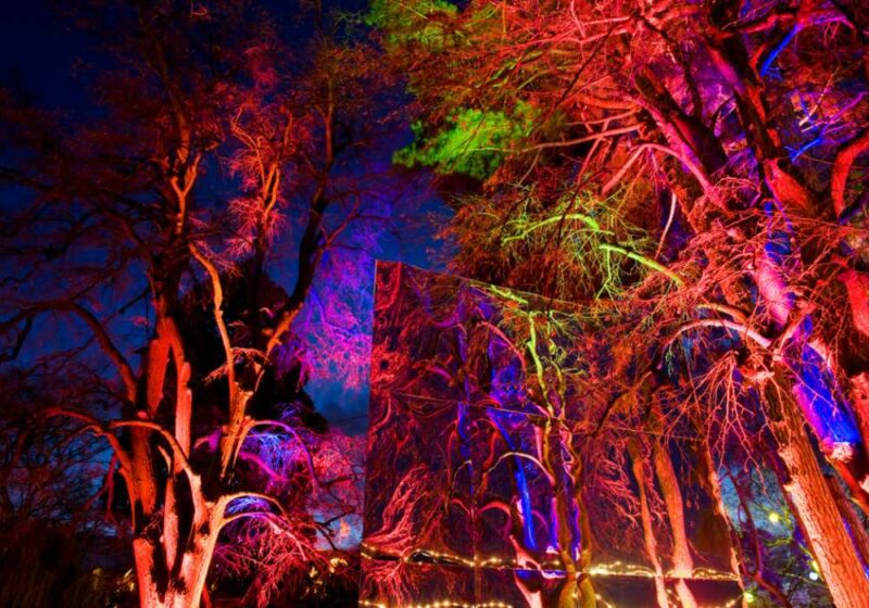 THINGS TO DO IN WINTER IN GENEVA, SWITZERLAND - Arzo Travels